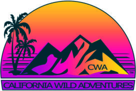 Stores - CWA株式会社